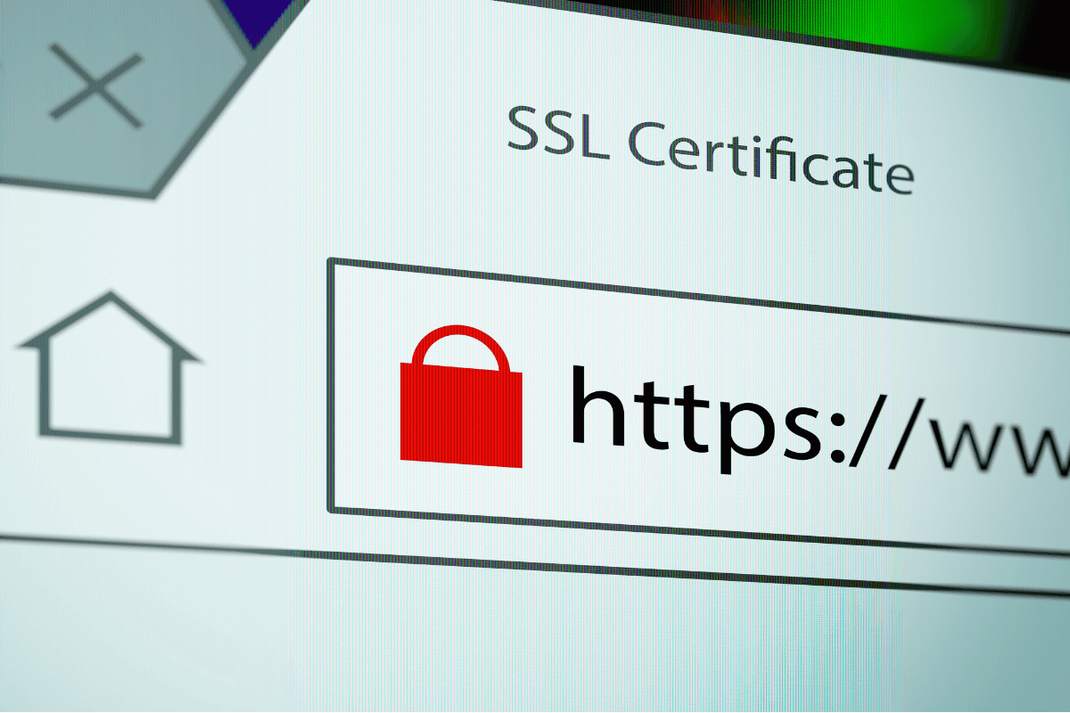 SSL Certificates Explained. Toronto SEO Company Bush Marketing.
